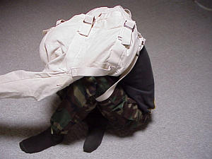 The Straitjacket Page