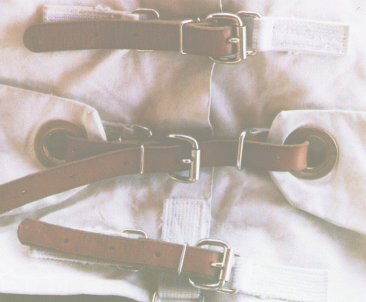 Humane Restraint Straitjacket Page